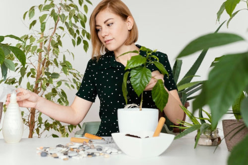 How High-End Serveware Brands Are Innovating with Sustainable Material ...